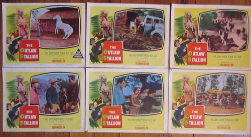 The Outlaw Stallion (1954) - USA Lobby Cards (set of 6) - Phil Carey | eBay