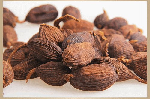 Cao Guo 草果 / Tsaoko Amomum Fruit/Amomum Tsaoko 4 oz | eBay