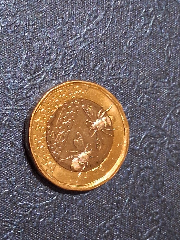 Rare £1 Coin Wasp Defect Error 1 Pound Coin | eBay UK