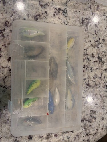 Plano Tray With Lures | eBay