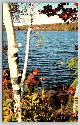 Hunter by Lake in Canada Vintage Postcard Golden Autumn Fall Colors ...