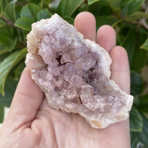 Pink Amethyst Geode From Argentina - Rare - Genuine & Natural (#2480 ...