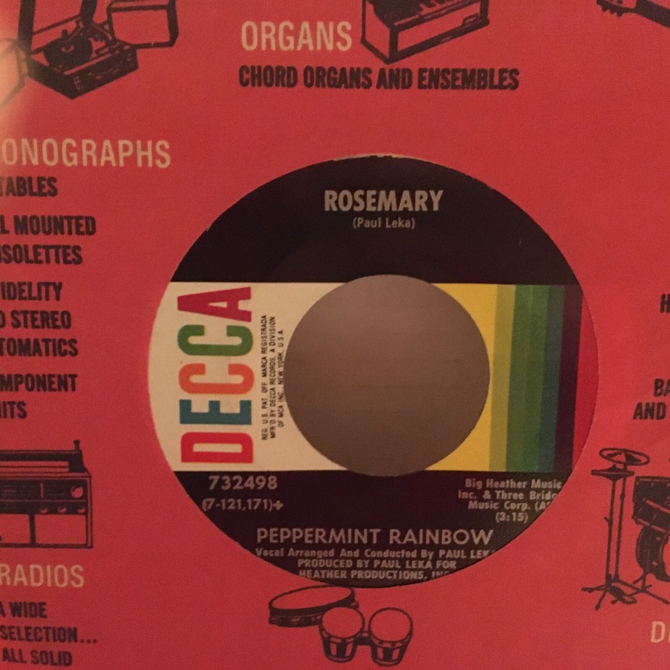 THE PEPPERMINT RAINBOW 45 SINGLE vinyl , DON,T WAKE ME UP IN THE ...