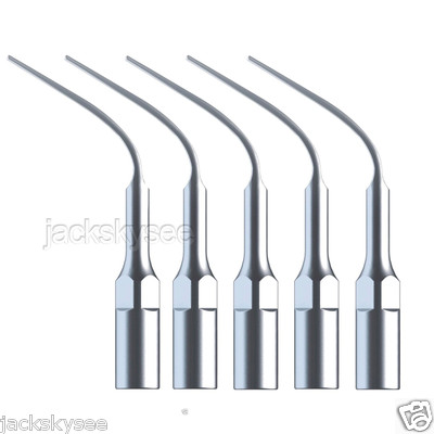 5x Dental Ultrasonic Scaler Perio Tips PD3 Fit SATELEC/DTE Scaling ...