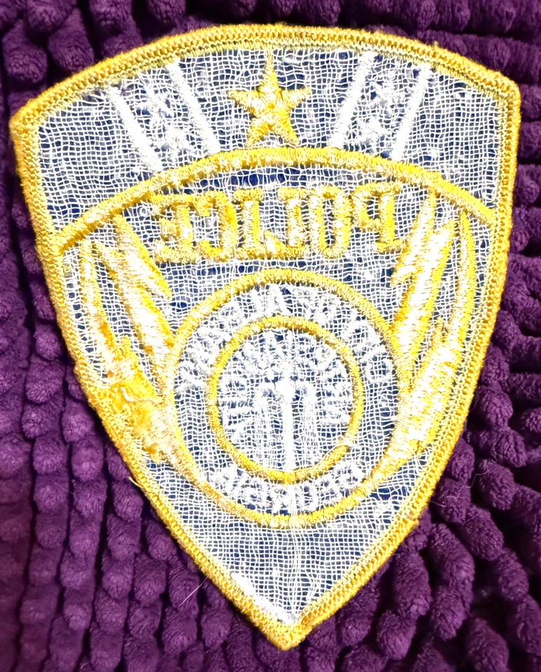 CITY OF ALBANY GEORGIA POLICE PATCH GA ARTESIAN CITY GEORGIA | eBay