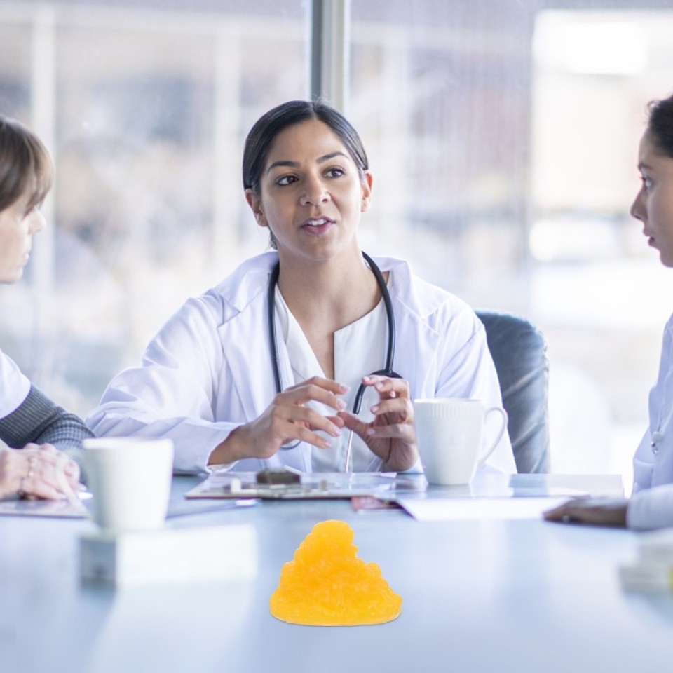 1lb Fat Model Manikin Body Anatomical Physiology Demo Device | eBay