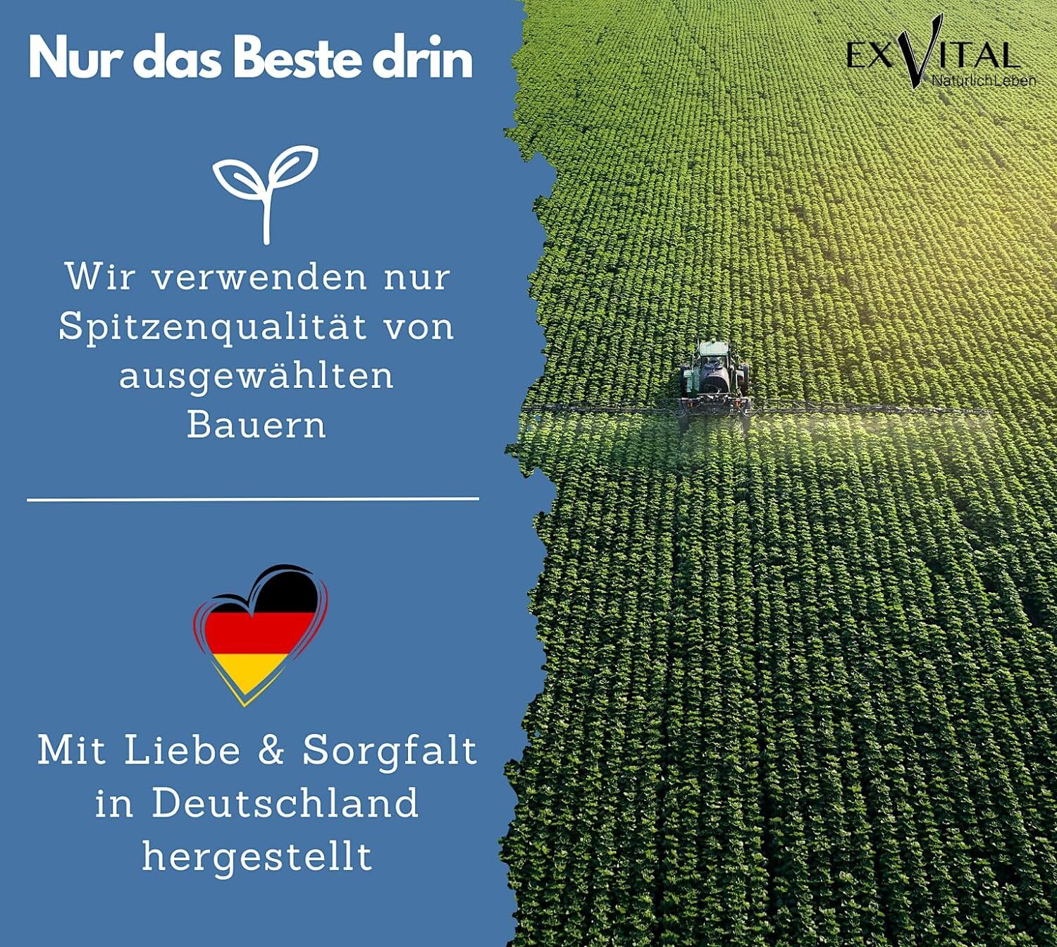 Virility EX © FÜR AKTIVE ERWACHSENE MÄNNER KAPSELN . 20 STÜCK ...