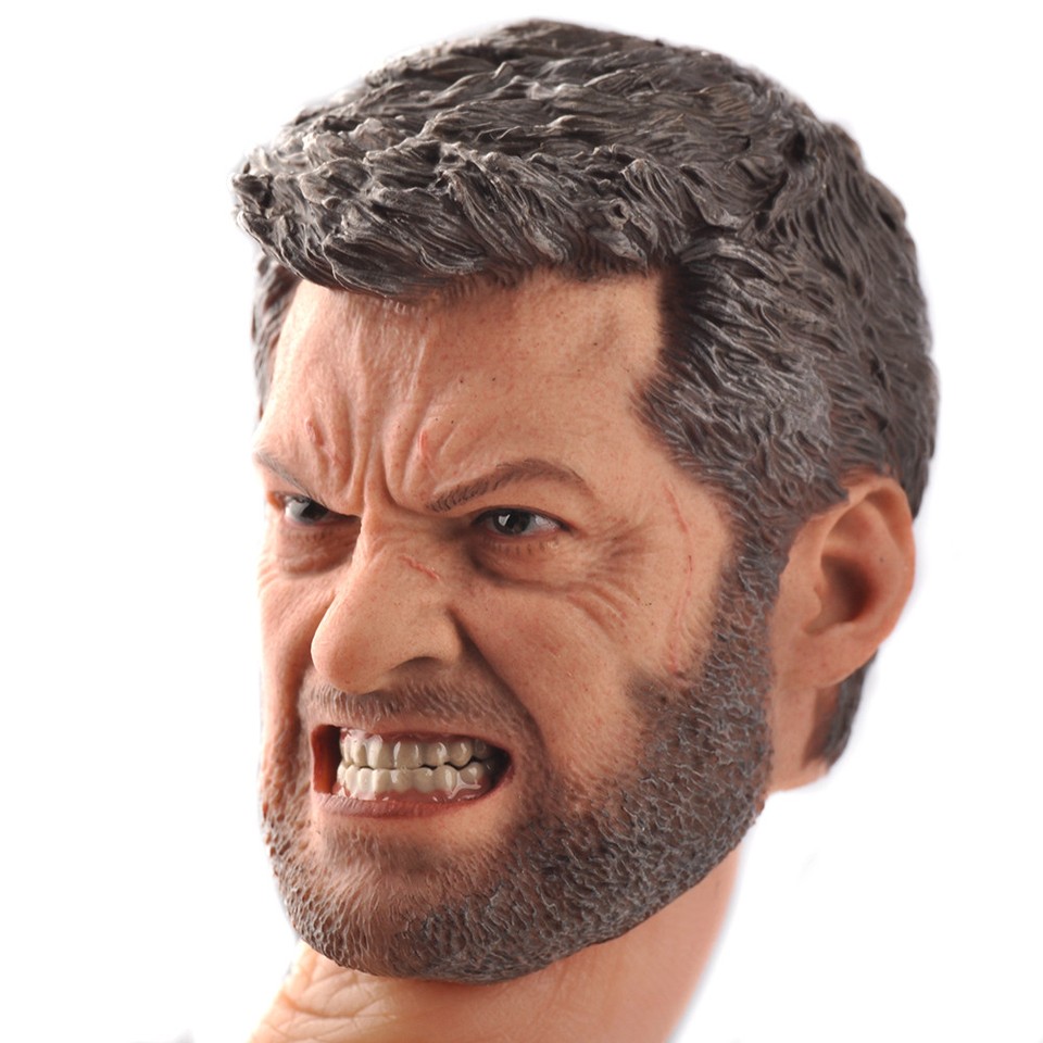 1:6 Wolverine Angry Face Version Head Model Toy For 12" no neck Body ...