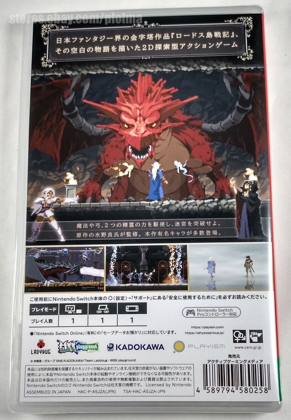 Record of Lodoss War: Deedlit in Wonder Labyrinth NINTENDO SWITCH Game ...