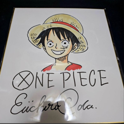 One Piece Eiichiro Oda Hand-signed illustration | eBay
