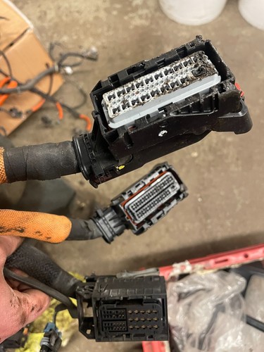 DURAMAX LML COMPUTER WIRE CONNECTORS PCM ECM PIGTAILS | eBay