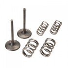 Pro X Steel Intake Valve/Spring Kit 28.SIS4409-2 | eBay