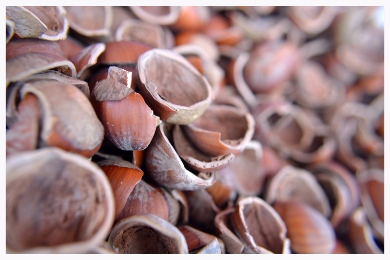 Hazel Shell Mulch - Amendment Product - 6 lbs. | eBay