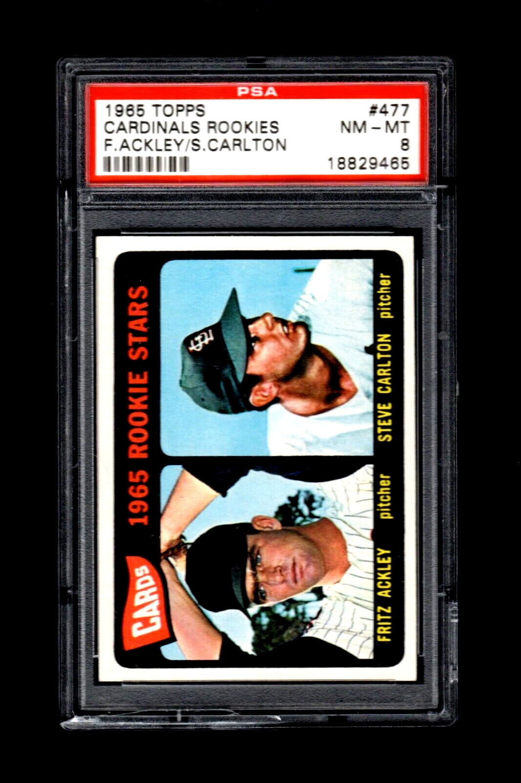 1965 Topps #477 CARDINALS ROOKIES Steve Carlton Rookie PSA 8 NM-MT HIGH ...