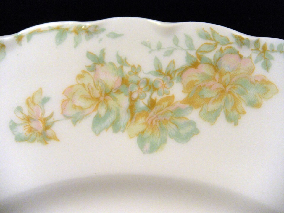 Rare Antique Haviland Limoges, France The Countess Schleiger #69 Fine ...