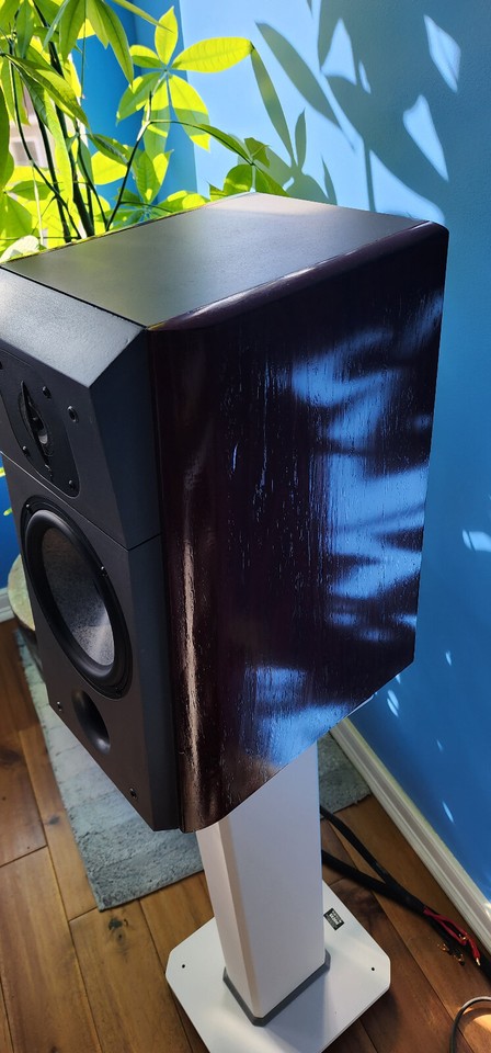 JM Lab/Focal Electra 906 audiophile speakers, pair, please read! | eBay