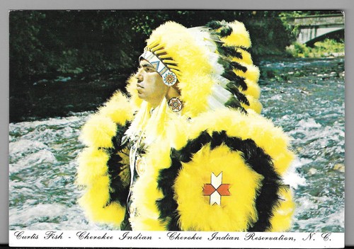 VIntage Curtis Fish Cherokee Indian Reservation Chrome Postcard Not ...