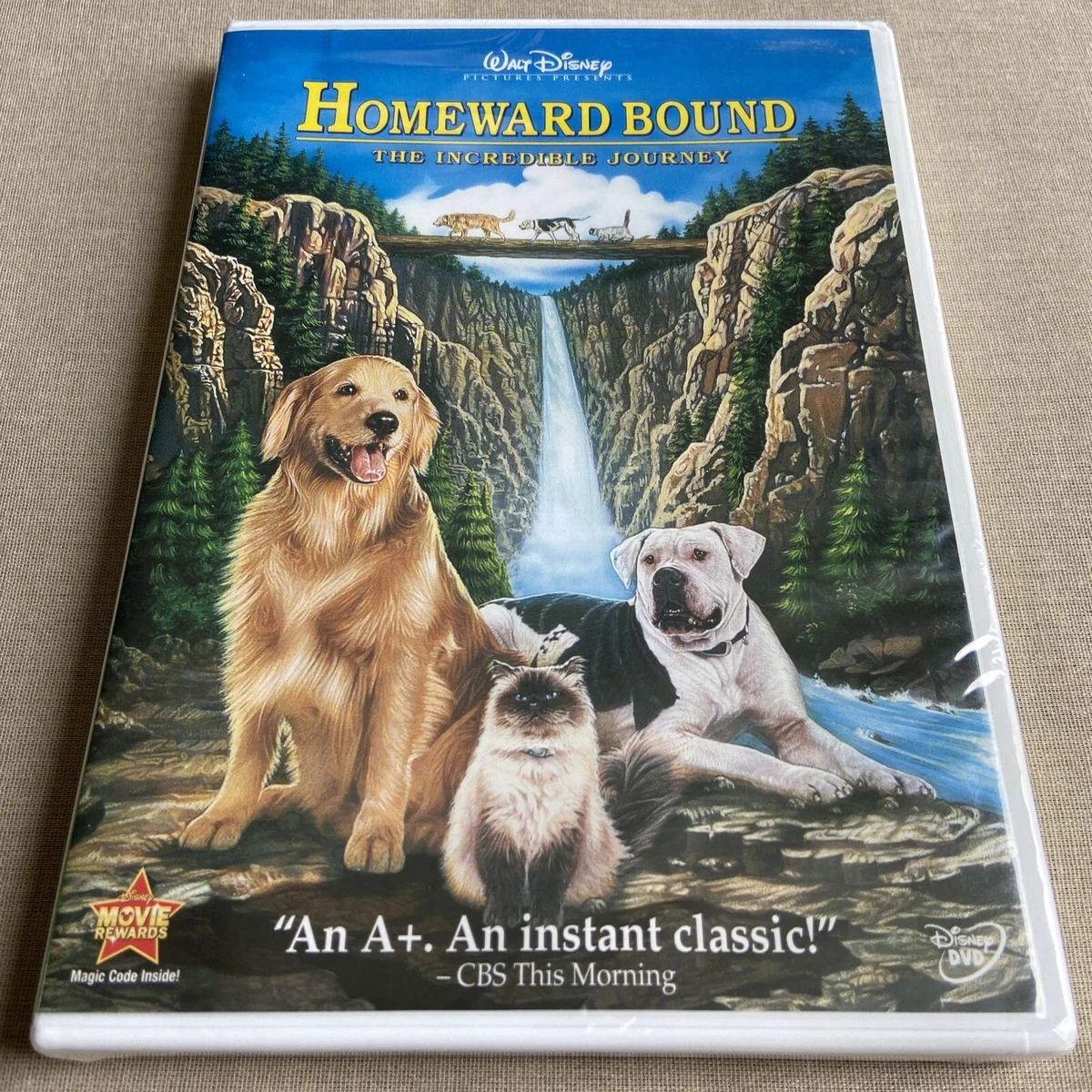 Homeward Bound Chance What Kind Of Dog