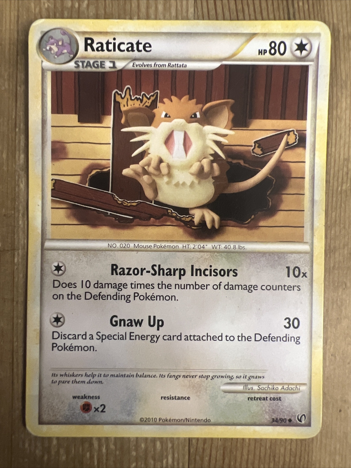 Pokémon TCG Raticate Undaunted 34/90 Regular Uncommon for sale online ...