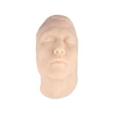 Injection Training Mannequin Face Model, Facial Injection Head Model ...