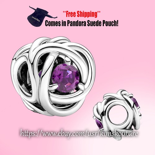 Authentic Sterling Silver February Purple Eternity Circle 790065C02 ...