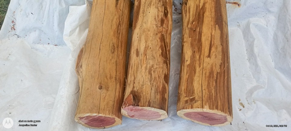 Eastern Red Cedar Logs , Perfect for Wood Carving Or Turning Craft Wood | eBay