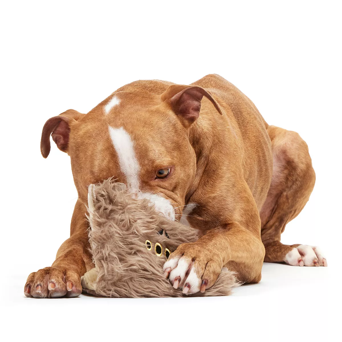 BarkBox Harry Potter Dog Toy Wizarding World Monster Book Of Monsters ...