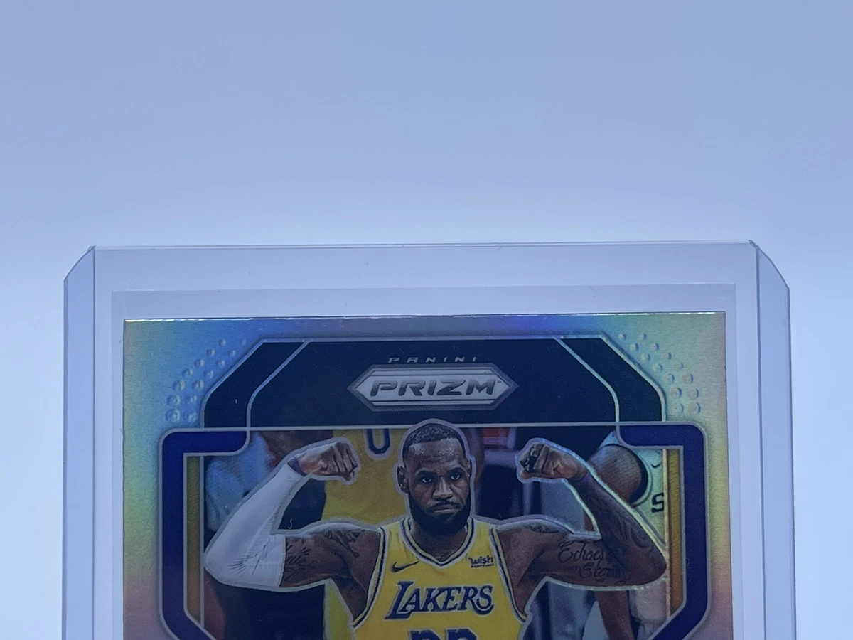 Lebron Prism Sleeve