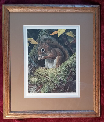 Carl Brenders framed print Acrobat's Meal squirrel ARTIST PROOF 21/56 ...