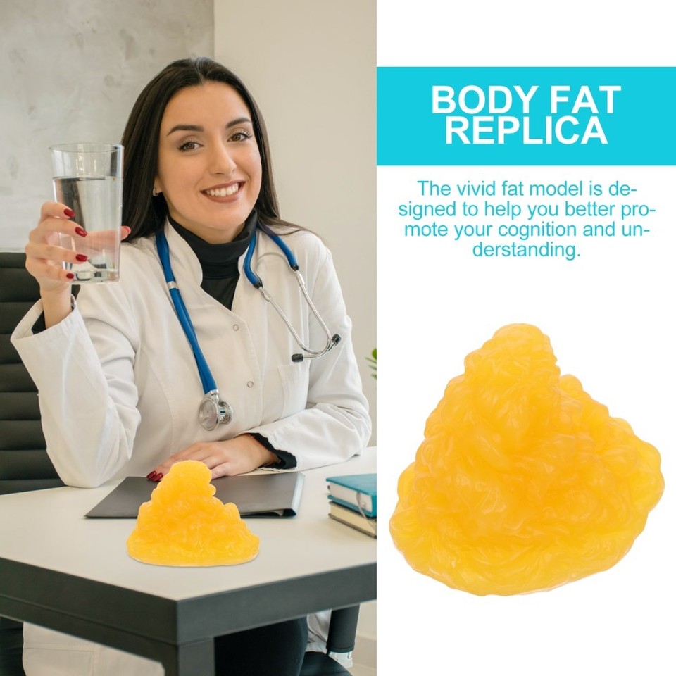 Demonstration Model Human Muscle Fat for Teaching Fake Body Parts | eBay UK