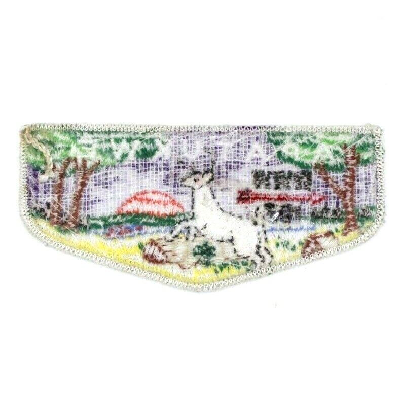 S5a or S5b Green FDL Apatukwe Lodge 107 Flap Southern New Jersey ...