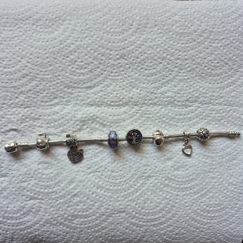 Genuine Pandora 18cm Barrel Clasp Bracelet + 4 Retired Charms Bundle ...