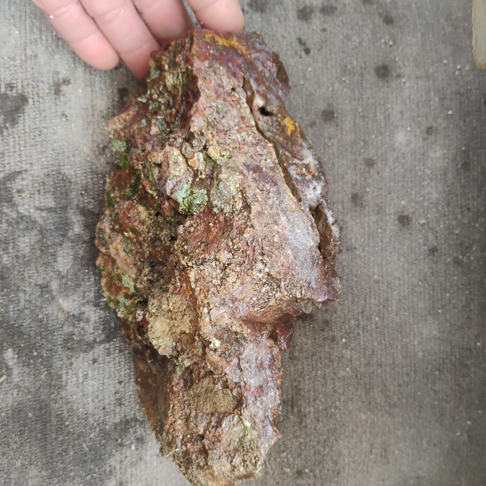 Utah Fossilized Agate Dinosaur Skull Fossil Gembone Ultra Rare | eBay