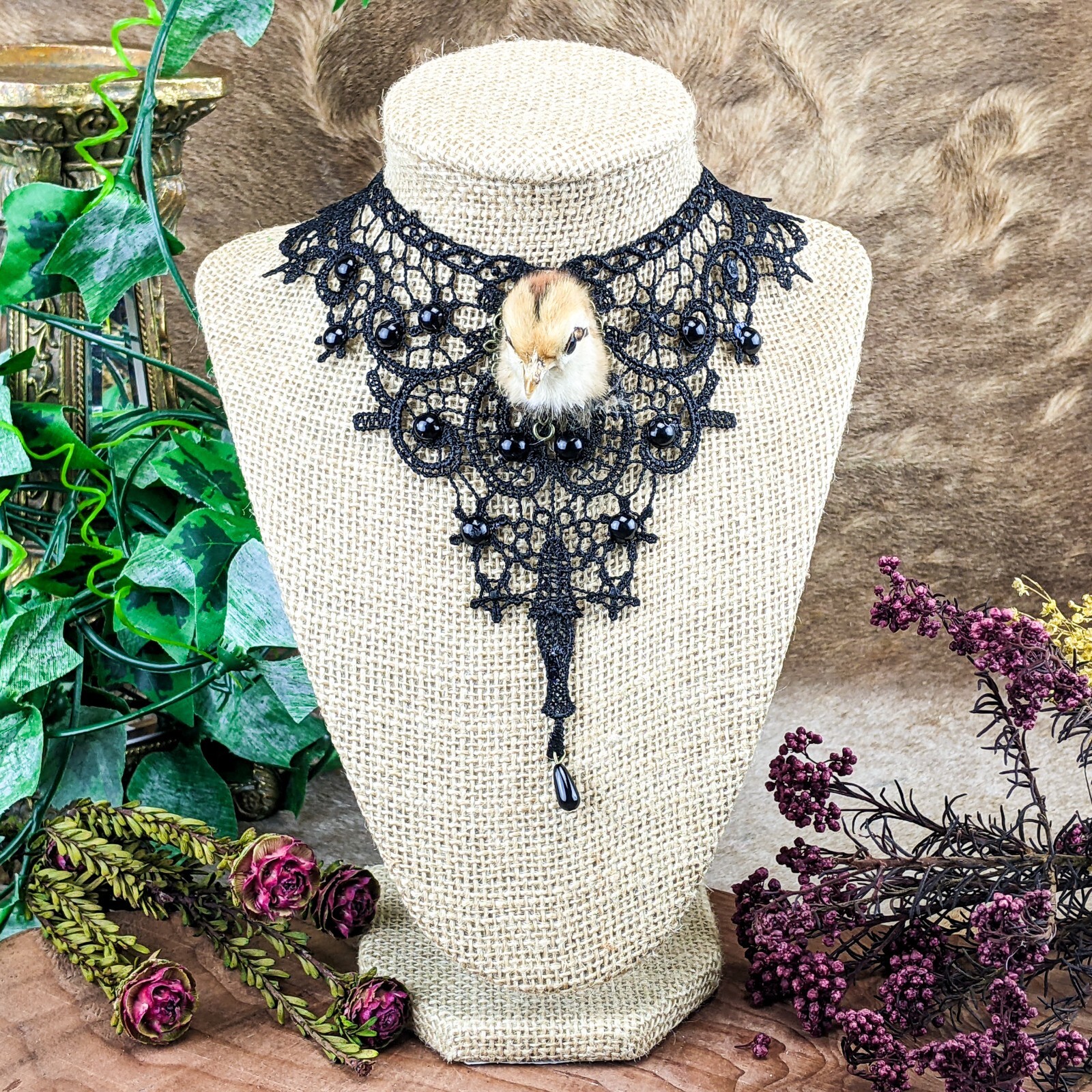 Real Baby Chick Chicken Head Choker Necklace Taxidermy oddities ...