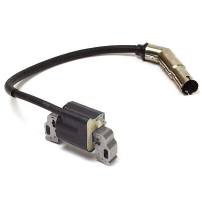 Solid State Ignition Module Coil For Briggs and Stratton 492341 | eBay