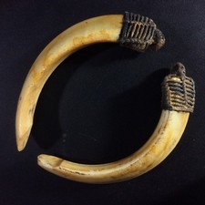 Real Antique 2 Pig Teeth LP Pern Thai Amulet Holy Talisman Power ...