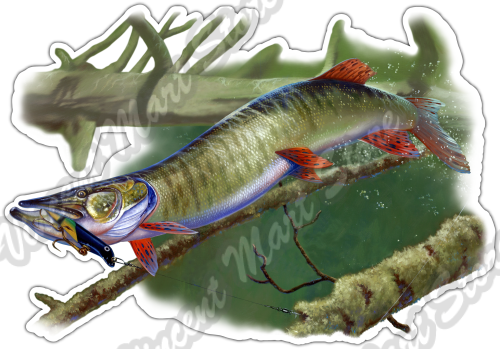 Pike Musky Fish Fishing Fisherman Lure Car Bumper Vinyl Sticker Decal 5 ...