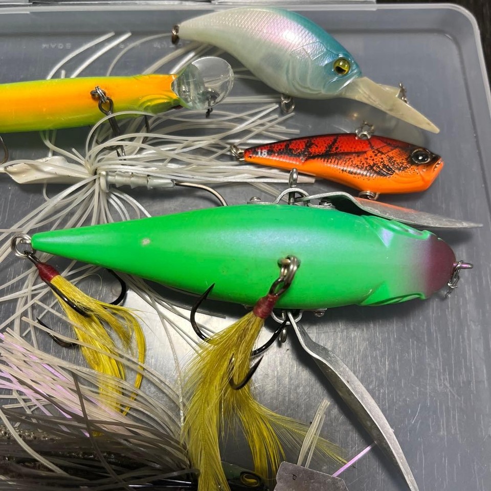 Bass fishing lure | eBay UK
