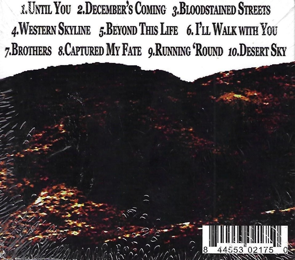 Beyond This Life by Brad Heller & the Fustics (CD, 2009) New | eBay