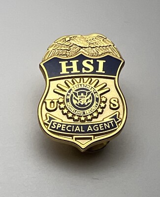 ICE HSI Special Agent Mini Badge Lapel Pin | eBay