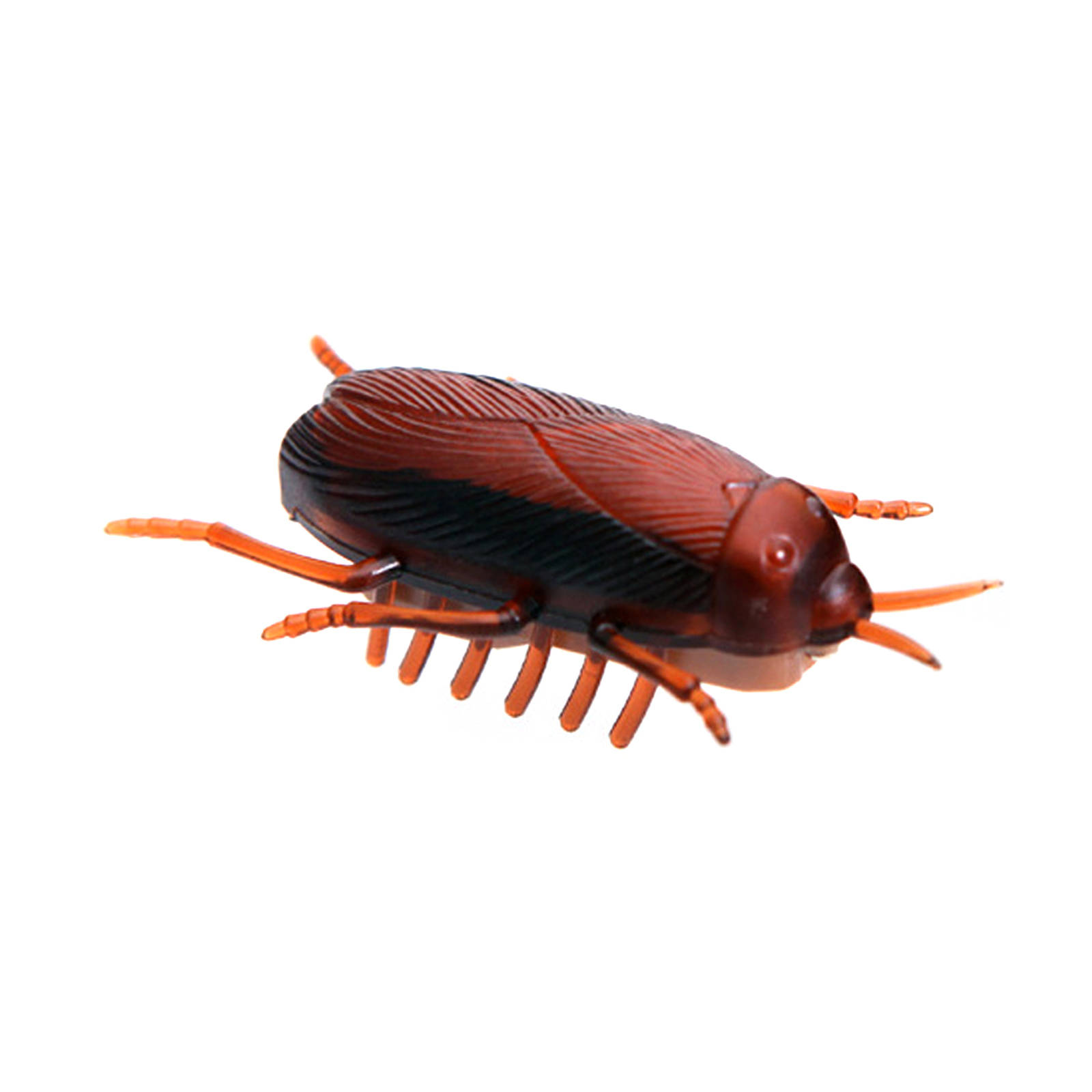 Electric Chasing Exercising Funny Plastic Cockroach Shaped Pet Supplies ...