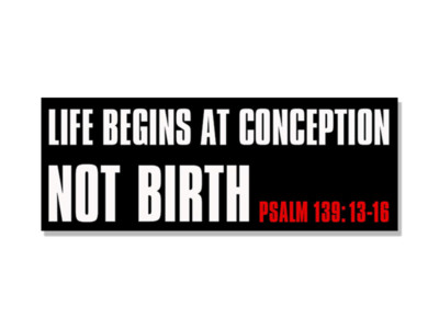 3x8 inch Life Begins At Conception Bumper Sticker (christ faith decal ...