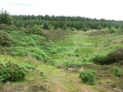 Photo 6x4 Lodge on Babworth Road Retford c2011 | eBay UK