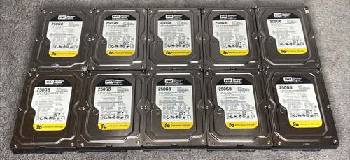 (10) WD WD2502ABYS-02B7A0 250GB 7.2K SATA 3.5" HDD 16Mb Cache ...