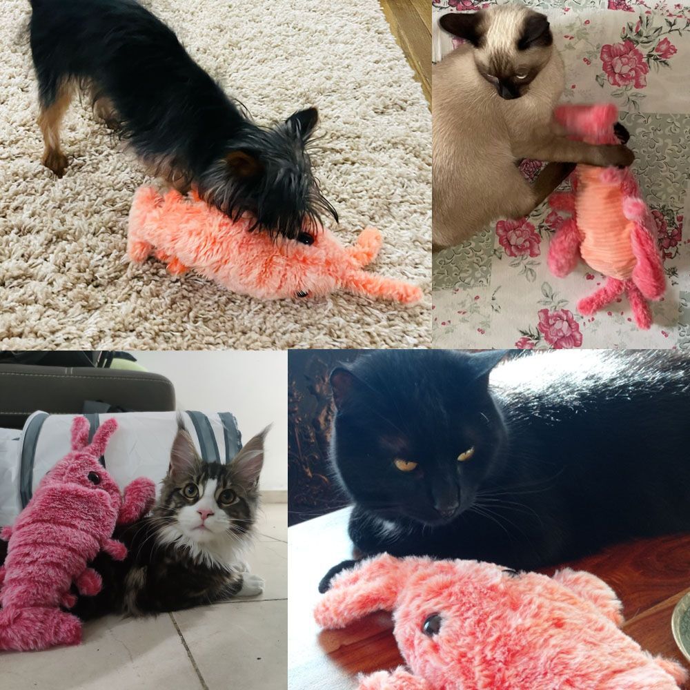 Electric Jumping Cat Toy Shrimp Moving Simulation Lobster Electronic ...