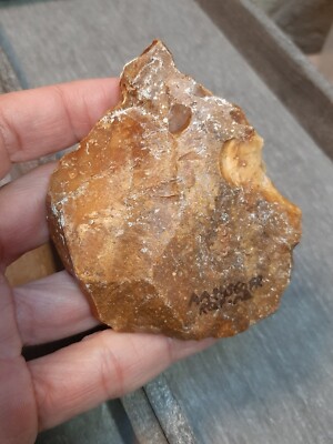Middle Paleolithic early Neanderthal France Mousterian Point multitask ...