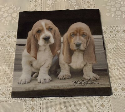Keith Kimberlin Basset Hound Stretchable Book Cover 8 Inch Dog Lovers ...