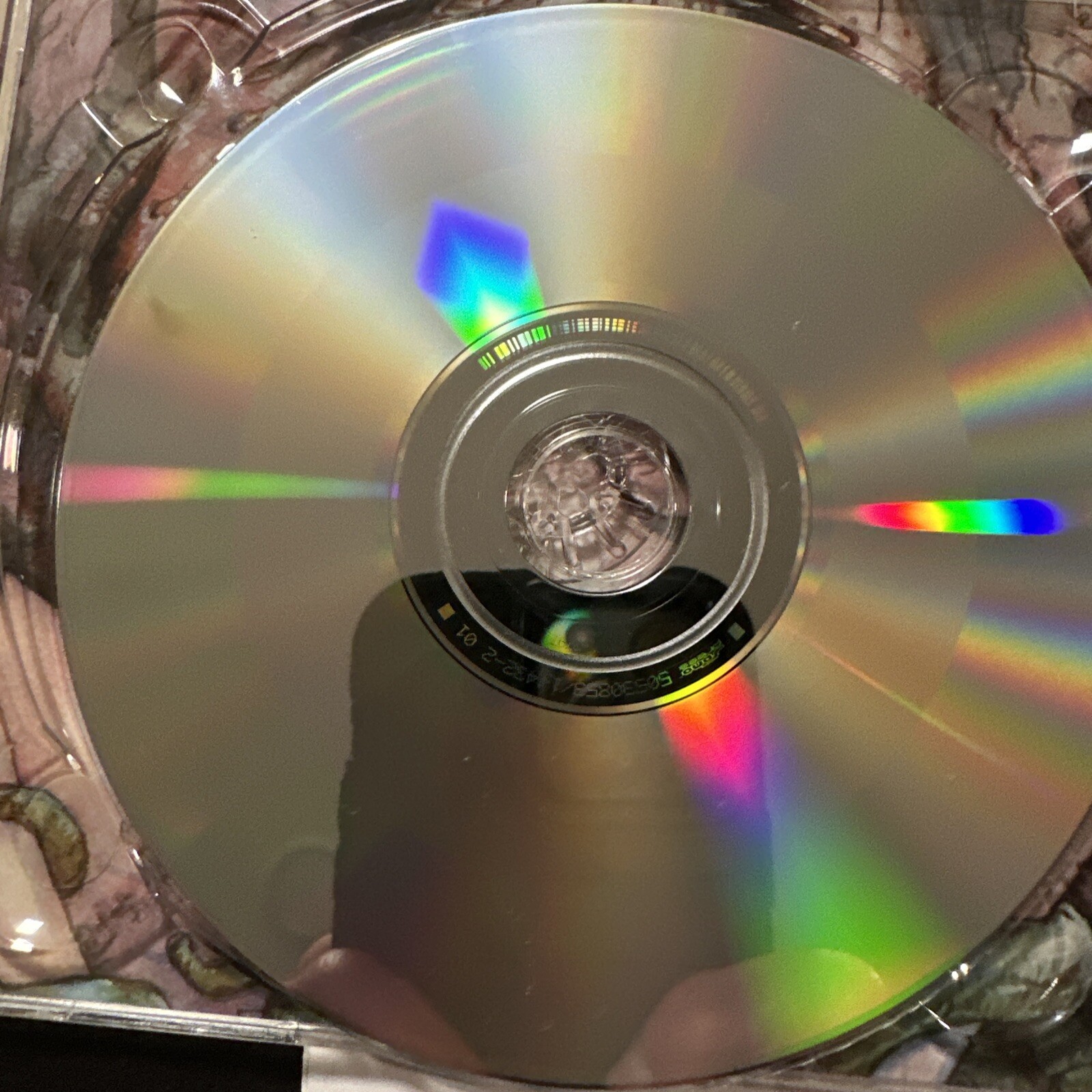 Worm Infested by Cannibal Corpse (CD, 2003) for sale online | eBay