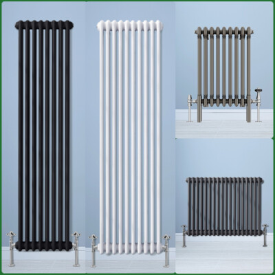 Traditional 2 3 4 Column Radiator Vertical Horizontal Heating Cast Iron ...