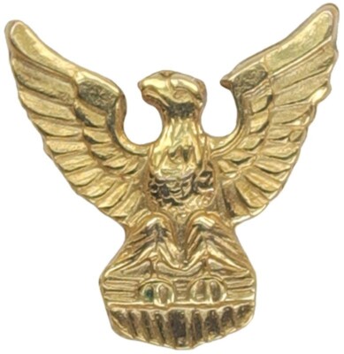 Distinguished Boy Eagle Scout DESA Knot Device Pin Gold Filled Badge ...